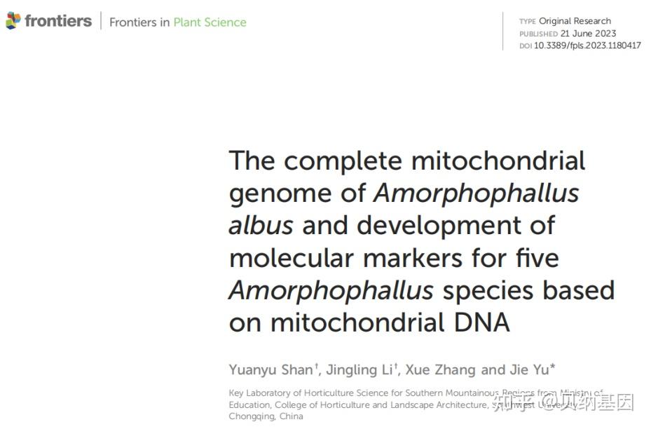 项目文章 | 白魔芋的完整线粒体基因组和基于线粒体DNA分子标记的开发以鉴定5个魔芋属物种 - 知乎