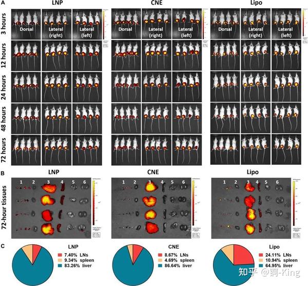 mRNA纳米颗粒的结构和生化特征决定了抗SARS-CoV-2的体液和细胞免疫反应 - 知乎
