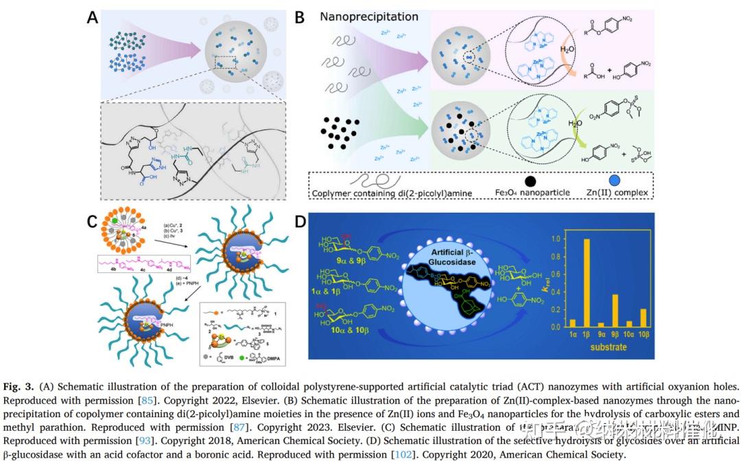 【Adv.Colloid Interface Sci.】水解纳米酶：制备、性质和应用 - 知乎