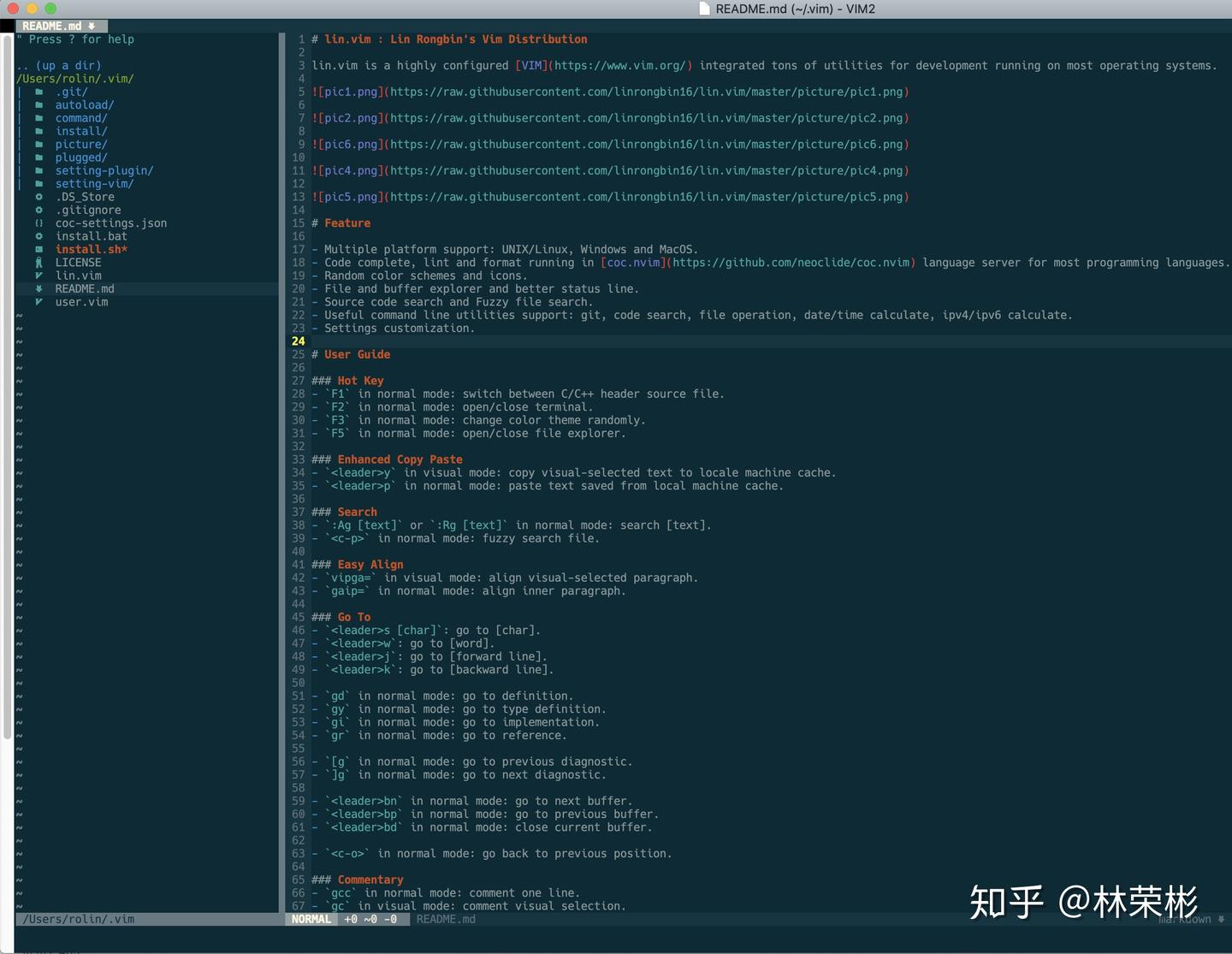 可能是最适合新手的(Neo)Vim开箱即用发行版 - 知乎