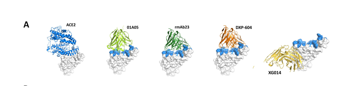 关于SA55要是脱靶了的预备招 - 知乎