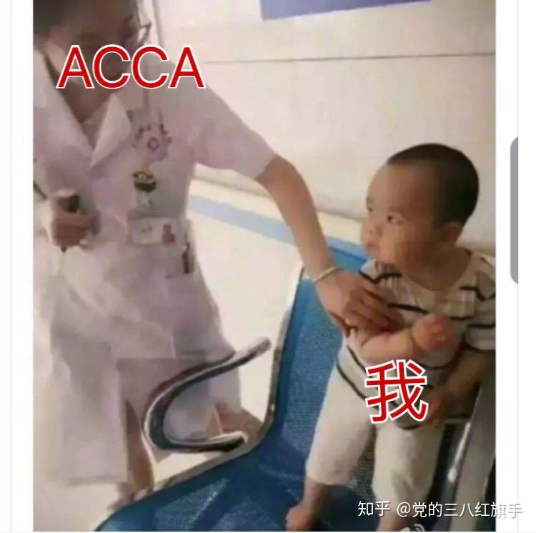 ACCA官网是不是经常有BUG？面对这些bug怎么办？ - 知乎