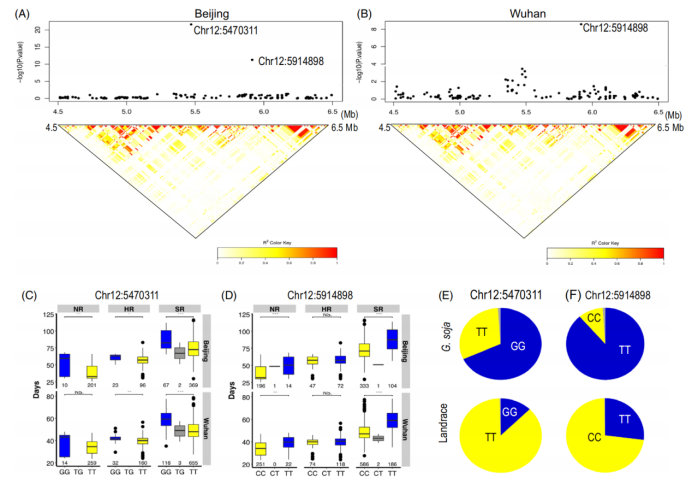 极智课堂 01期丨关于GWAS那些事儿~ - 知乎