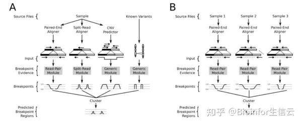 重测序分析（5）使用lumpy进行结构变异检测 - 知乎