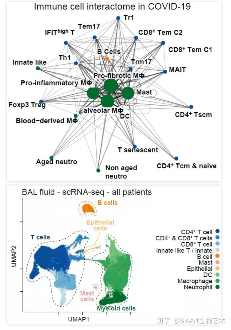 Sci Immunol | 赵宇等揭示重症新冠患者T细胞免疫反应 - 知乎