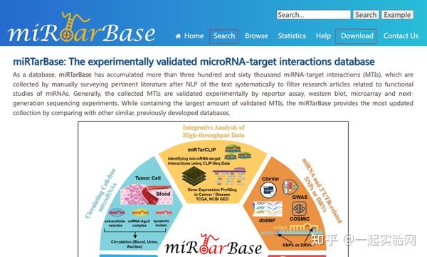 无需代码就能方便使用的11种在线miRNA靶基因方法，点击就会 - 知乎