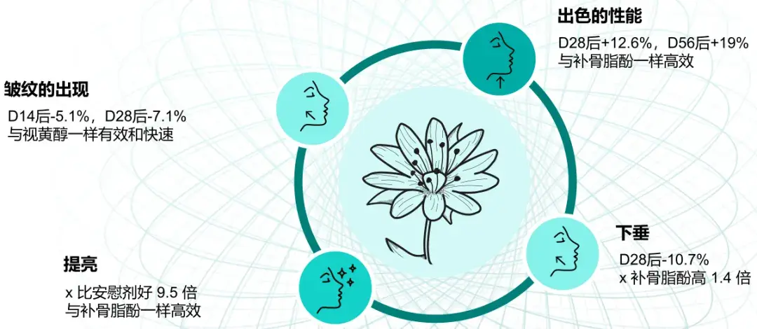 太子参环肽--抗衰老比肩维A醇 - 知乎