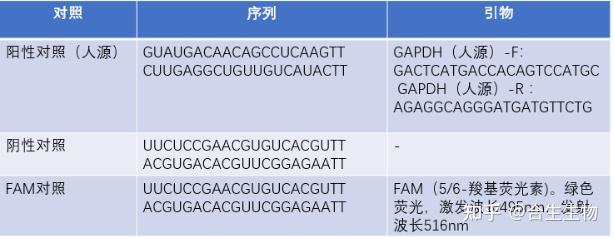 siRNA转染实验步骤及实验要点（附不同培养板转染体系参考） - 知乎