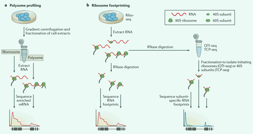 转录组RNA-seq分析前沿进展综述 - 知乎