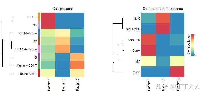 cellchat-单细胞分析 - 知乎