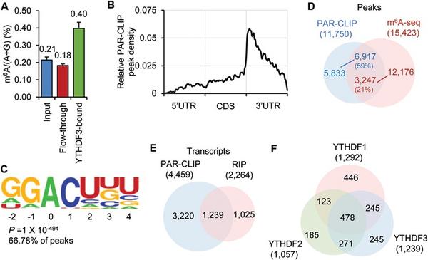 RNA m6A修饰问题汇总 - 知乎