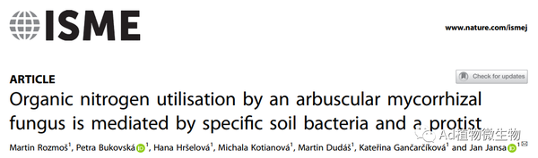 【ISME文献精读】研究揭示微生物联合介导丛枝菌根真菌利用有机氮的机制！ - 知乎