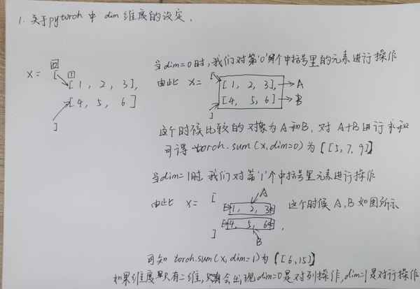 Pytorch 中 关于 Dim的解读 知乎