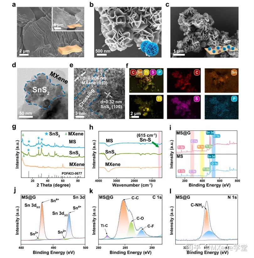 《CEJ》 | MXene-SnS2异质结构材料用于增强抗菌抗炎治疗 - 知乎