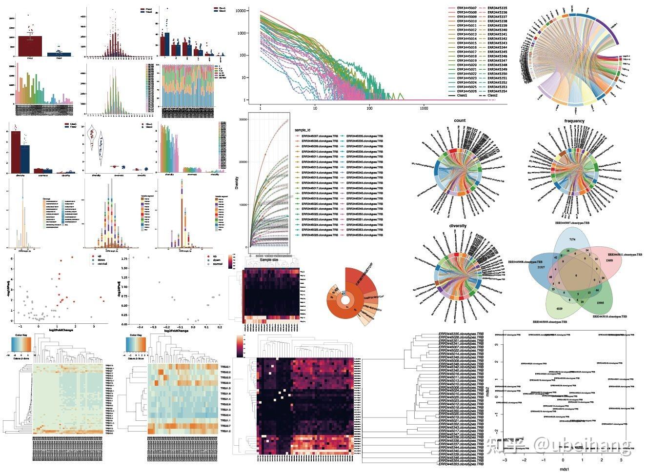 全网第一篇免疫组库分析教程[MiXCR+VDJtools+Python+R]【转载】 - 知乎
