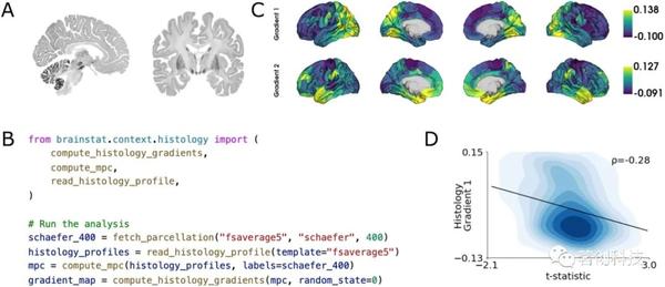 BrainStat：用于全脑统计和多模态特征关联的工具箱 - 知乎