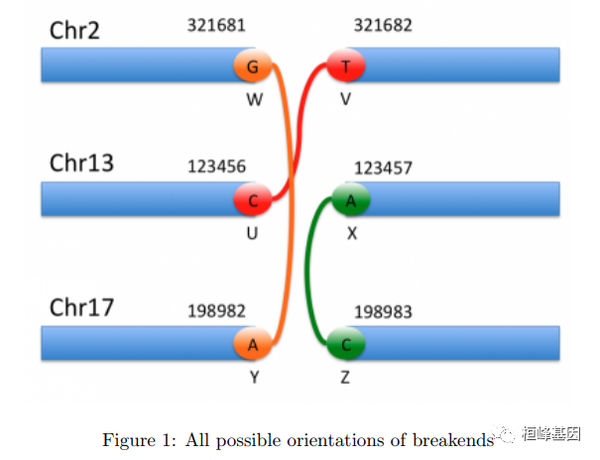 DNA 5. 基因组变异文件VCF格式详解 - 知乎