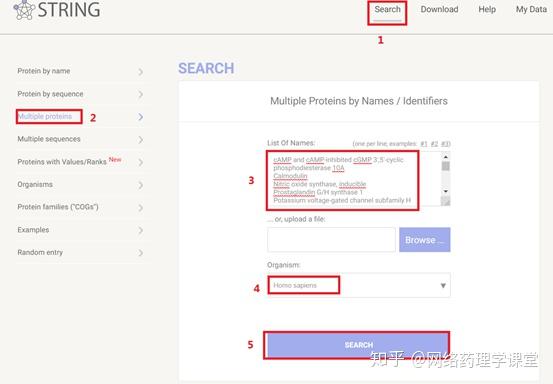 STRING数据库在网络药理学研究中的应用详解 - 知乎