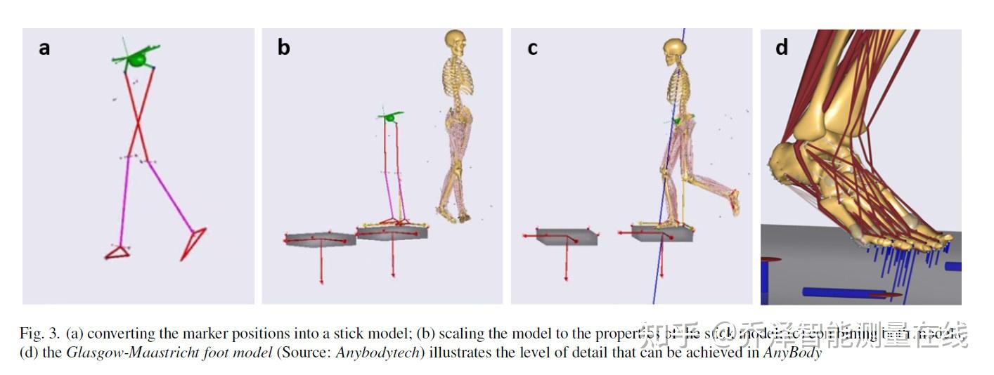 OpenSim、BoB、AnyBody等生物力学分析软件 哪个更好用、更适用？ - 知乎