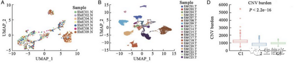 单细胞数据挖掘+基因拷贝数分析！助你轻松识别肿瘤细胞类型拿捏Q1区！ - 知乎