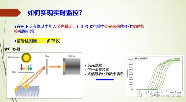 荧光定量PCR的基本原理（染料法+TaqMan探针法） - 知乎