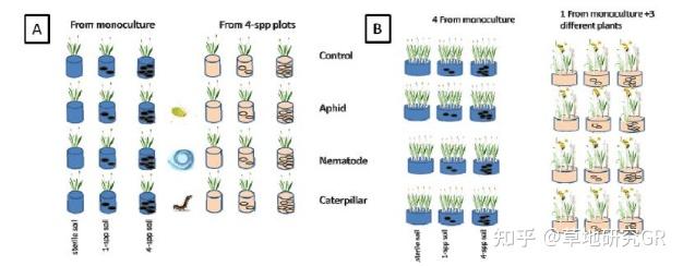 实验介绍 | 耶拿实验（the JENA Experiment） - 知乎