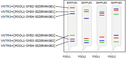 【bionumerics应用04】多位点VNTR分析 - 知乎