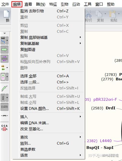 超详细的保姆级SnapGene软件应用汇总，建议收藏备用！！！ - 知乎