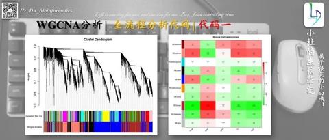 WGCNA分析 | 全流程分析代码 | 代码一 - 知乎