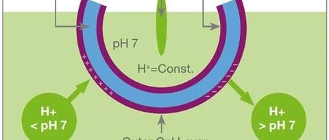 知识科普 | 什么是pH? - 知乎