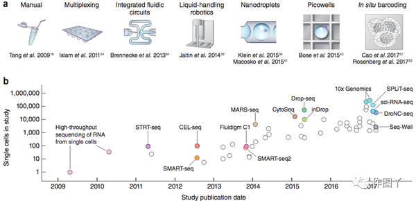 单细胞测序-scRNA的测序基础 - 知乎
