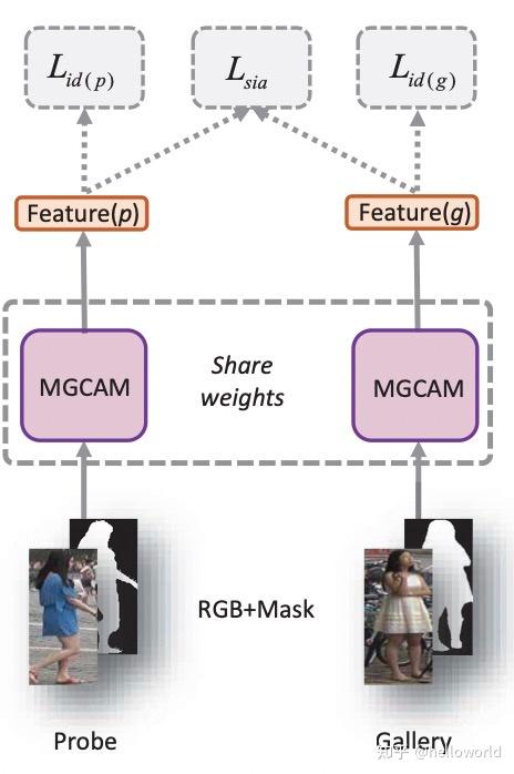 Mask-guided Contrastive Attention Model for Person Re-Identification - 知乎
