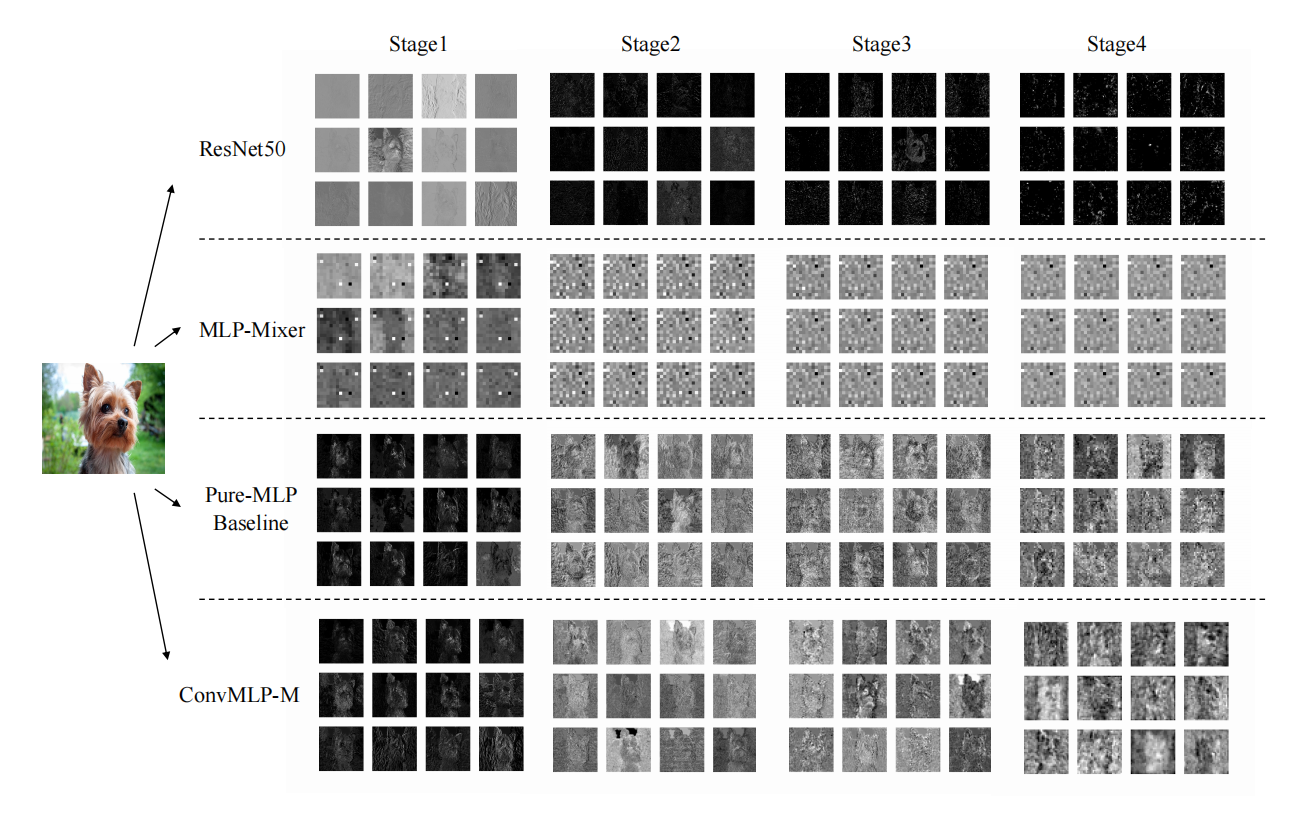 ConvMLP：你见过长得像CNN的MLP吗？UO&UIUC提出了用于视觉任务的层次卷积MLP - 知乎