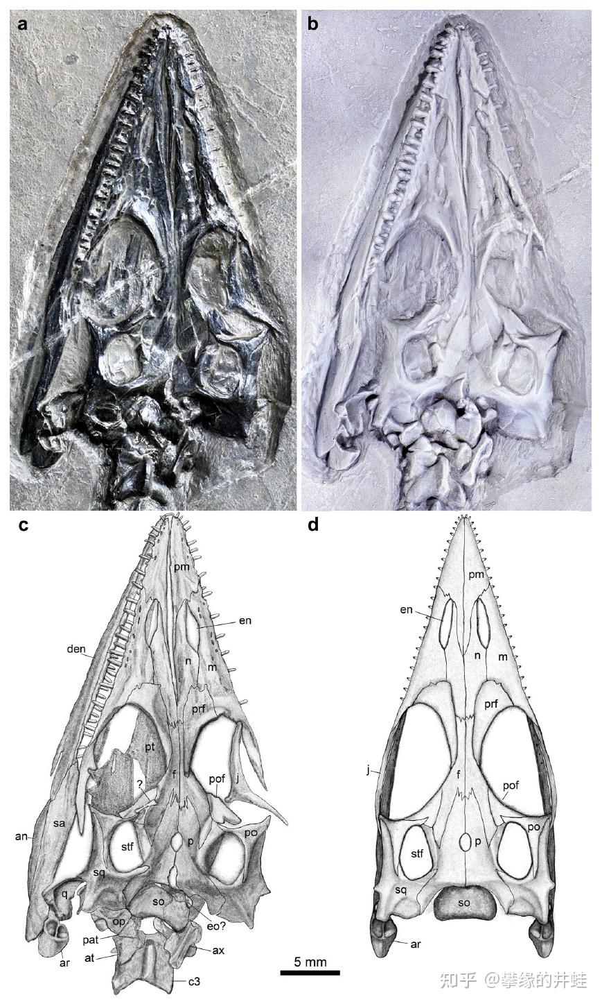 第二百八十五回 幽蓝幻想曲1：黎明的海岸线 - 知乎