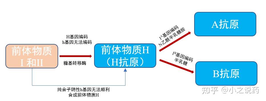 熊猫血、黄金血、恐龙血，人体共38种血型分类系统 知乎