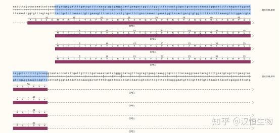 sgRNA设计教程（五）——CRISPR RGEN Tools - 知乎