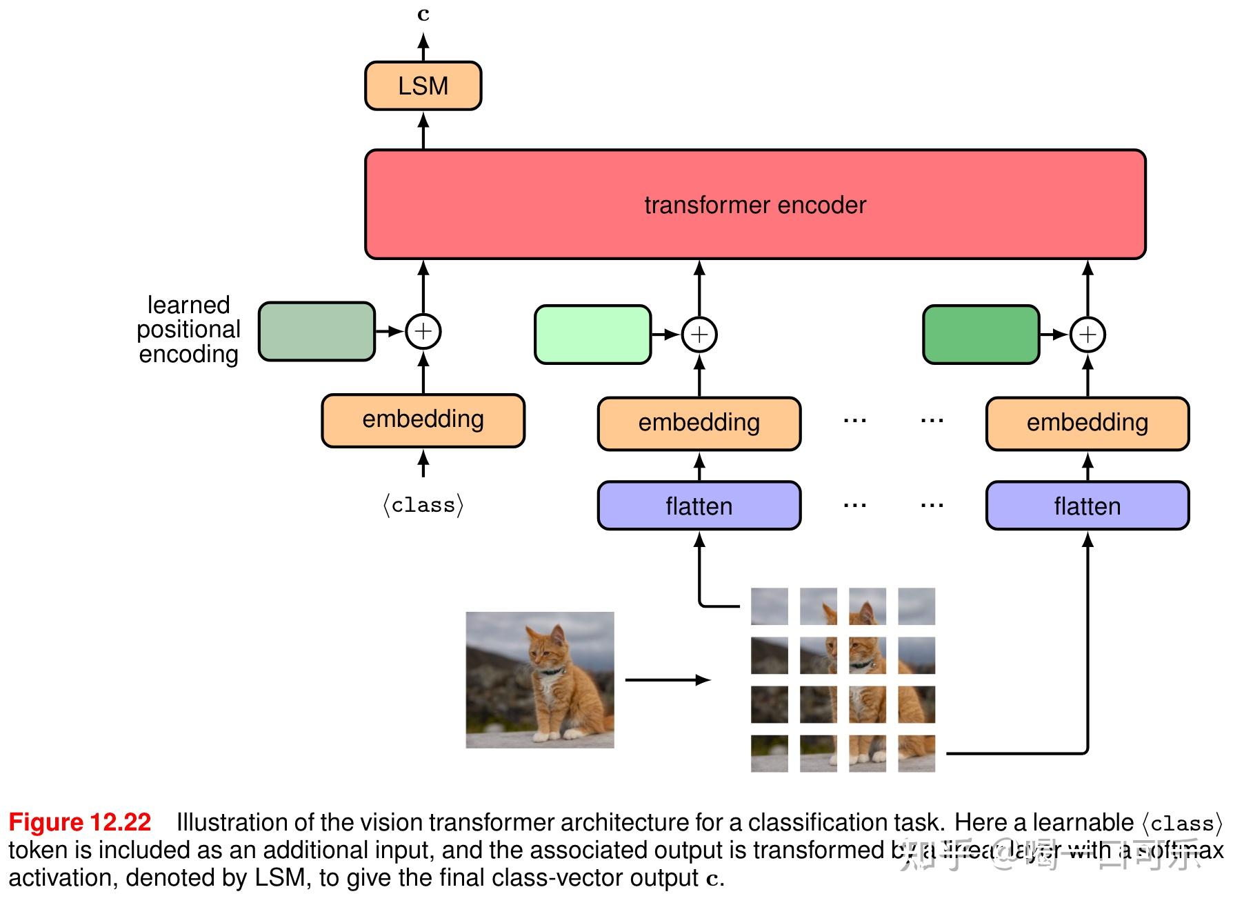 Transformer笔记4: Multimodal Transformers - 知乎