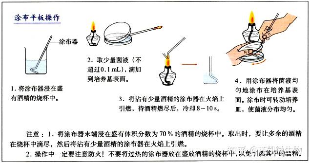 平板划线法和稀释涂布平板法各有什么优缺点 知乎 2326