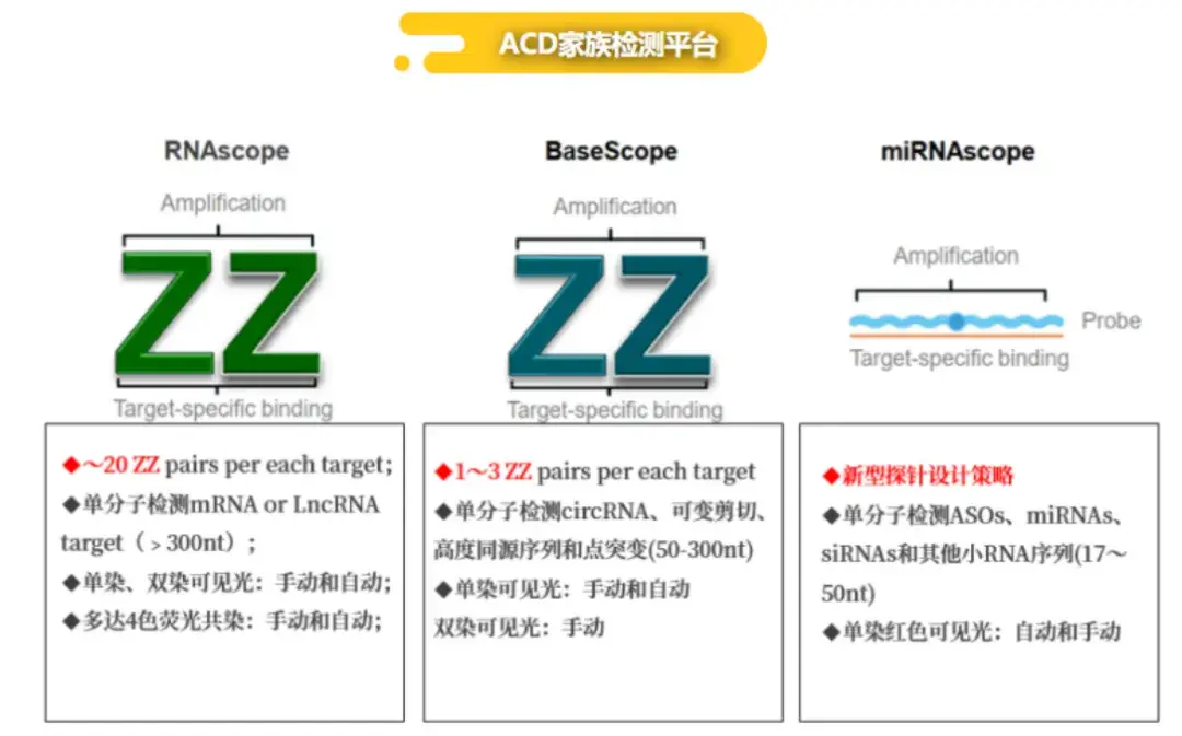 【病理专题】RNAscope技术介绍及应用 - 知乎