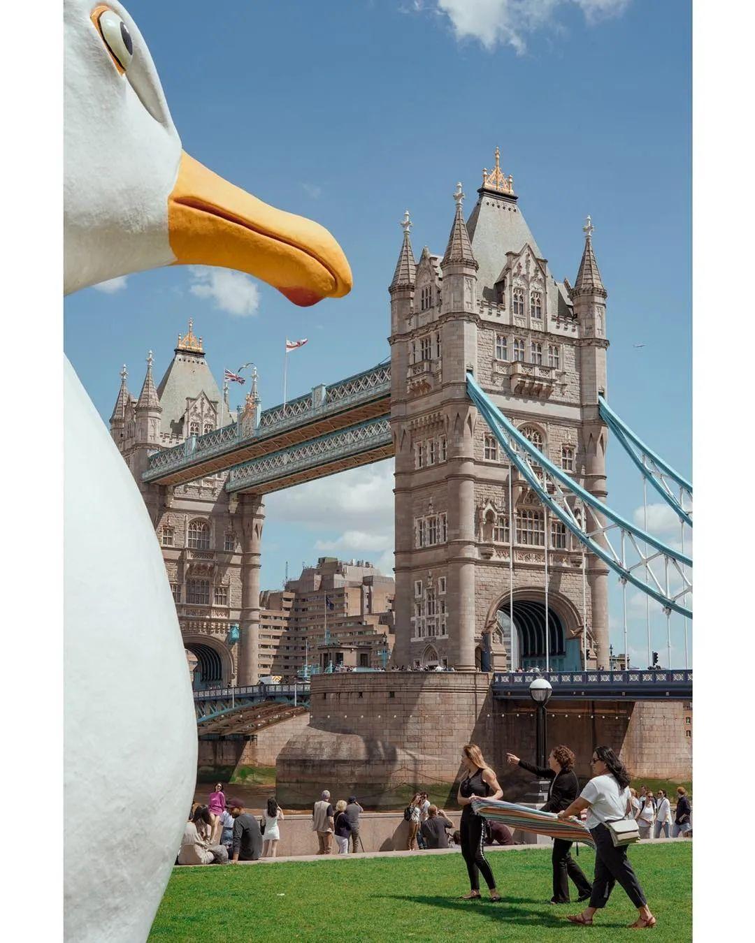 Josh Edgoose | 作品集：幸运的副作用 - 知乎