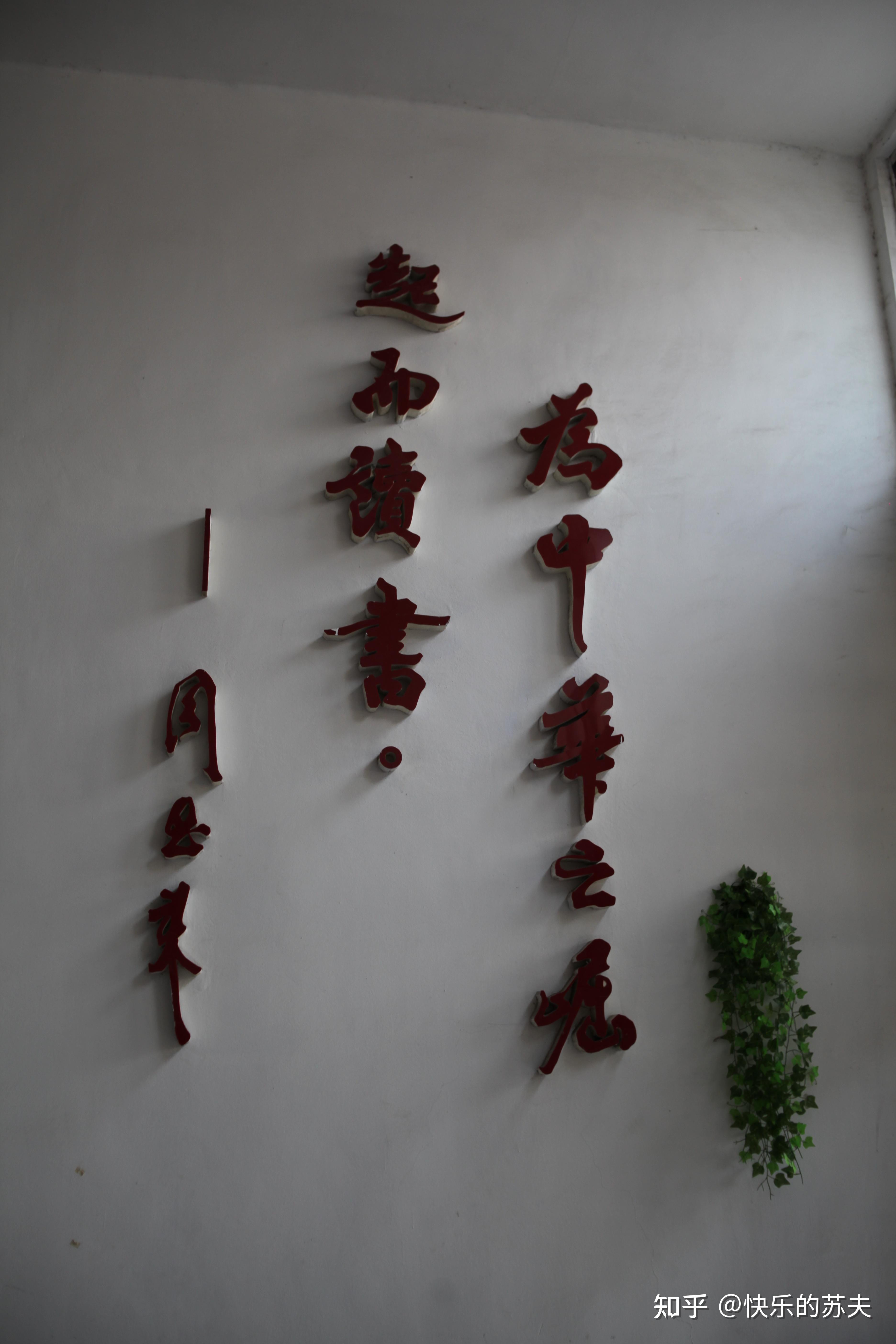 小白试水5D2 - 知乎