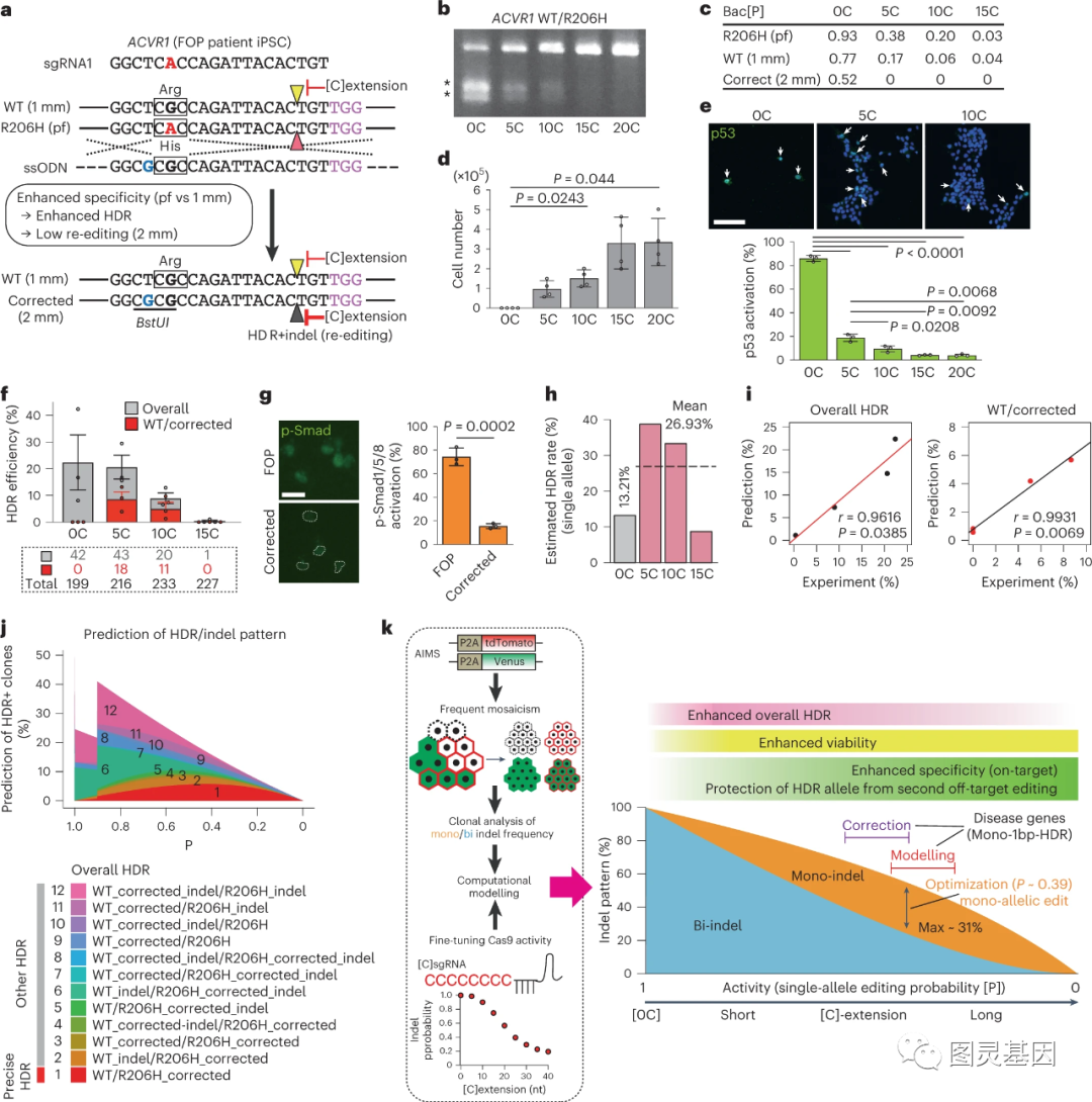 Nat Bio Eng | 微调Cas9提高基因组编辑的安全性和适用性 - 知乎