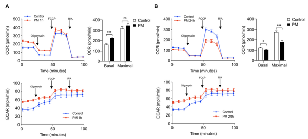 eLife丨内源性衣康酸不发挥抗炎抗氧化应急作用，外源性衣康酸发挥的抗炎作用不依赖Nrf2 - 知乎