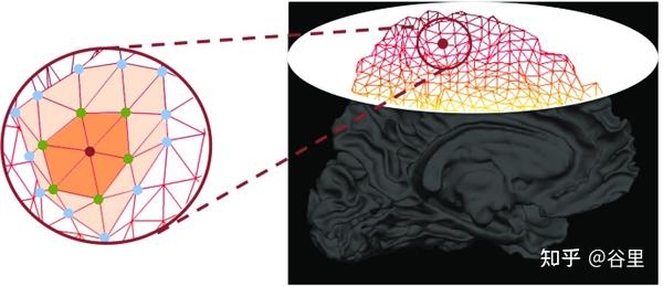来自freesurfer的surface数据的组织形式，surface-based cluster校正 - 知乎