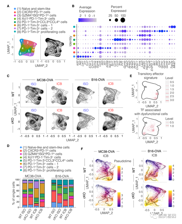 Can Cell | 哈佛医学院揭示肿瘤免疫原性决定免疫治疗对TCF1的依赖性 - 知乎