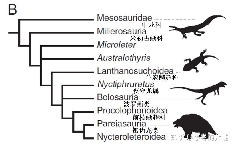 【地球演义】偏师劲旅（上） - 知乎