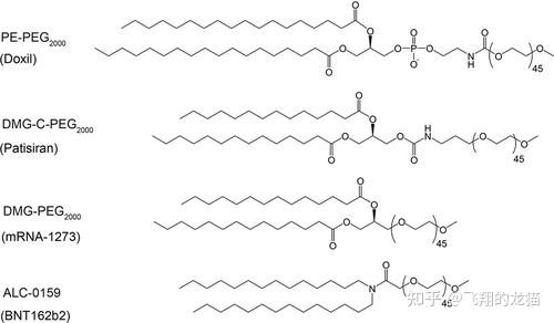 PEG修饰是否会在体内引发免疫反应 - 知乎