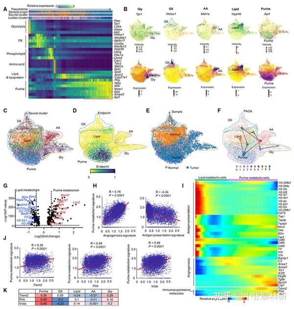 玩出了“新花样”的肿瘤相关巨噬细胞（TAMs）研究 - 知乎