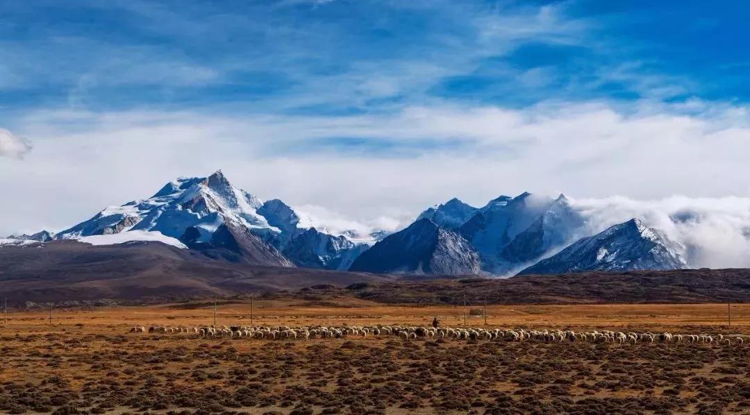 G219国道，全程10000多公里，走一次相当于看遍大半个中国！ - 知乎