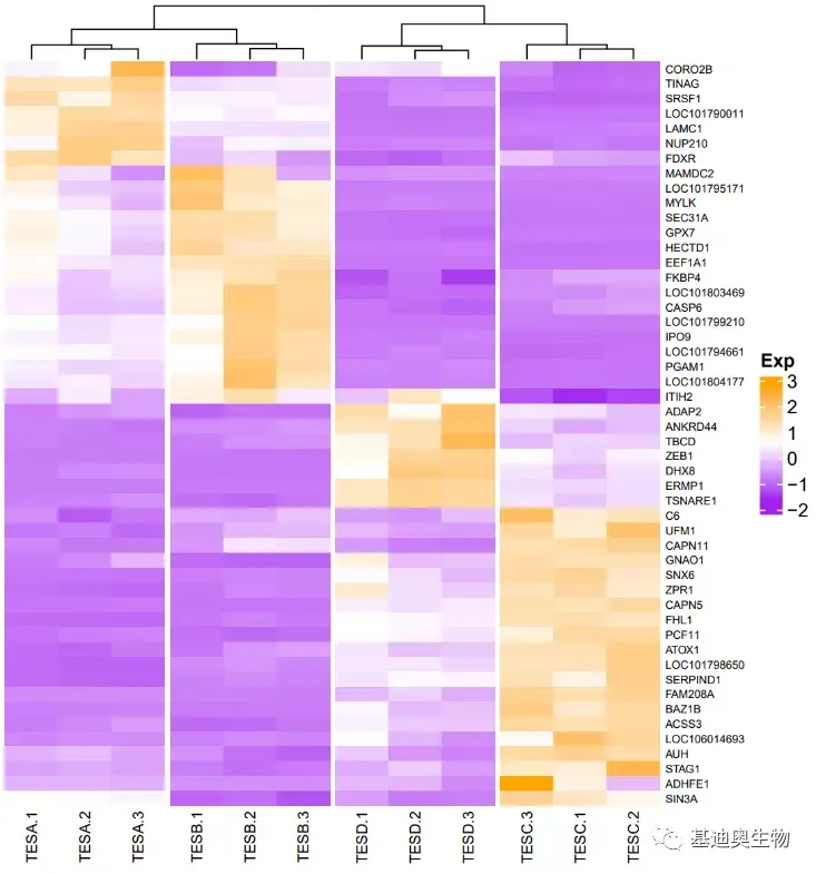 R语言教程|如何为热图添加指定的基因标记？ - 知乎